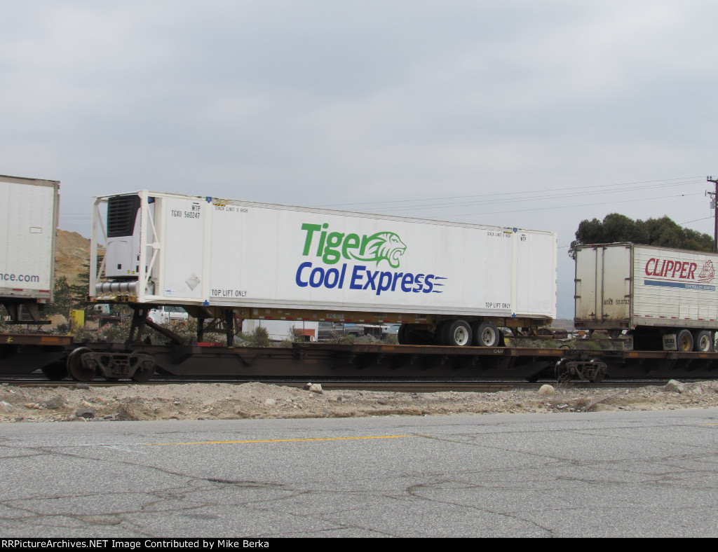 Tiger Cool Express